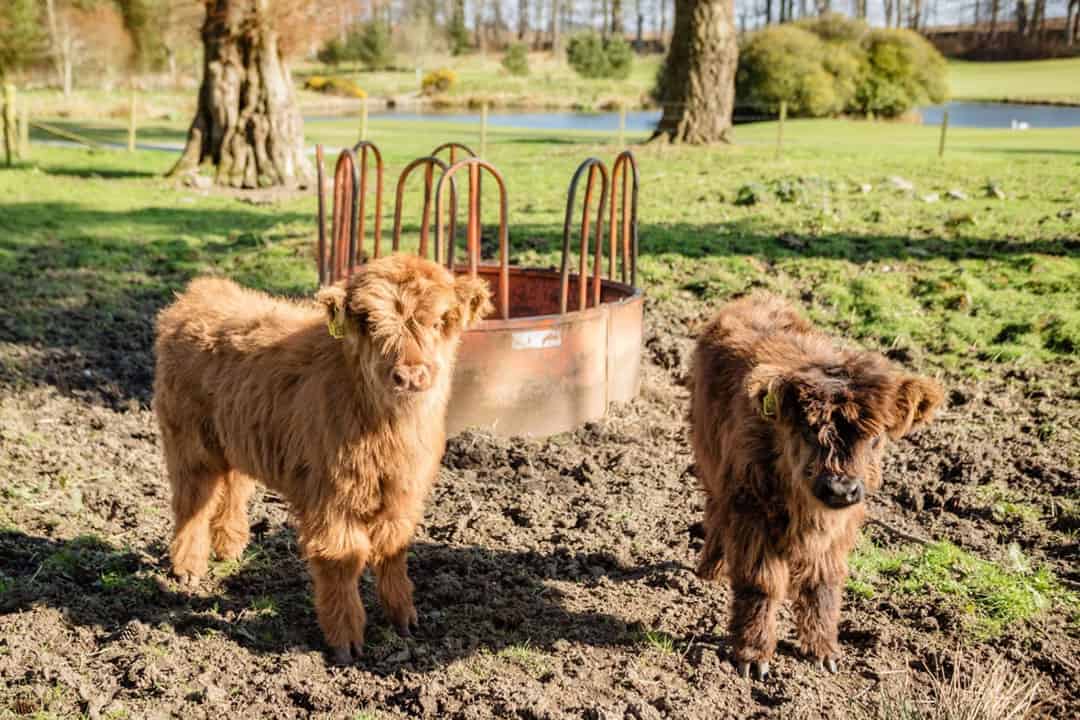 Meldrum House Country Hotel & Golf Course – North East 250