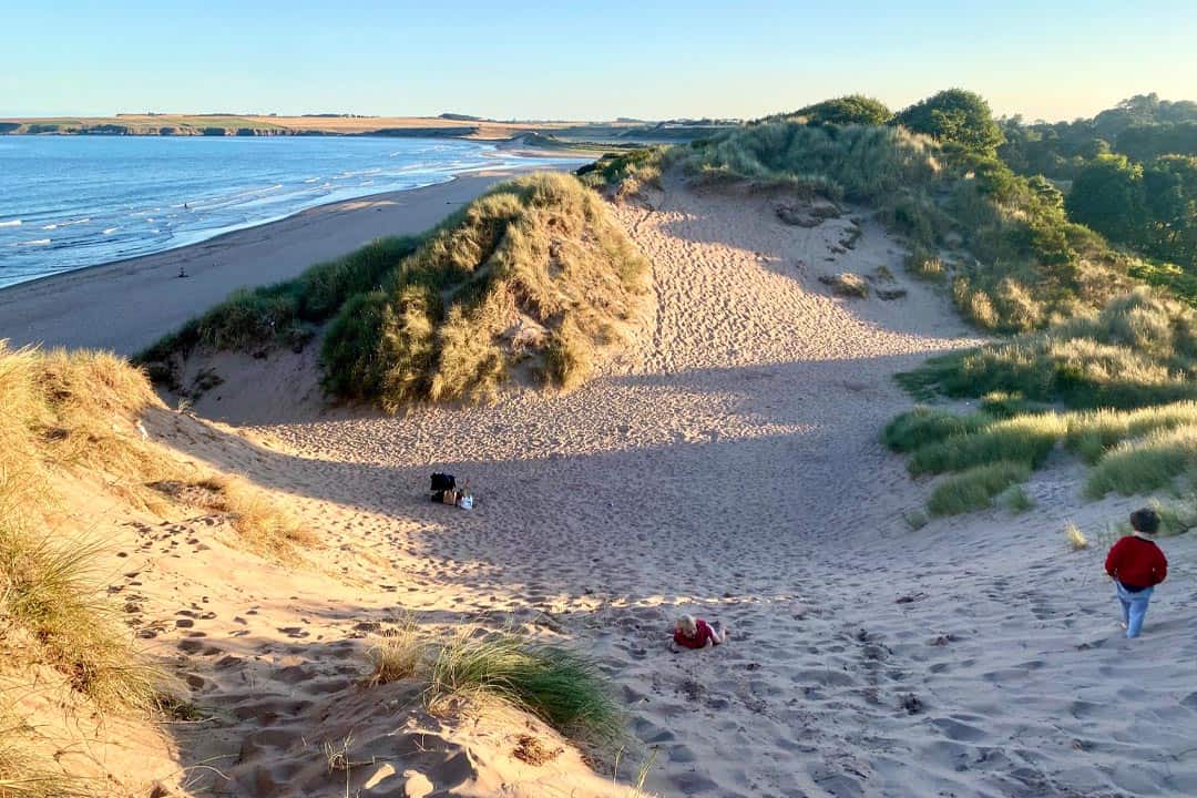 Ethie Classics at Ethie Mains – North East 250